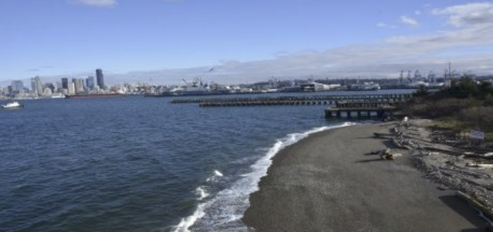 Cleanup at Lockheed Superfund site entering final phase | Westside Seattle